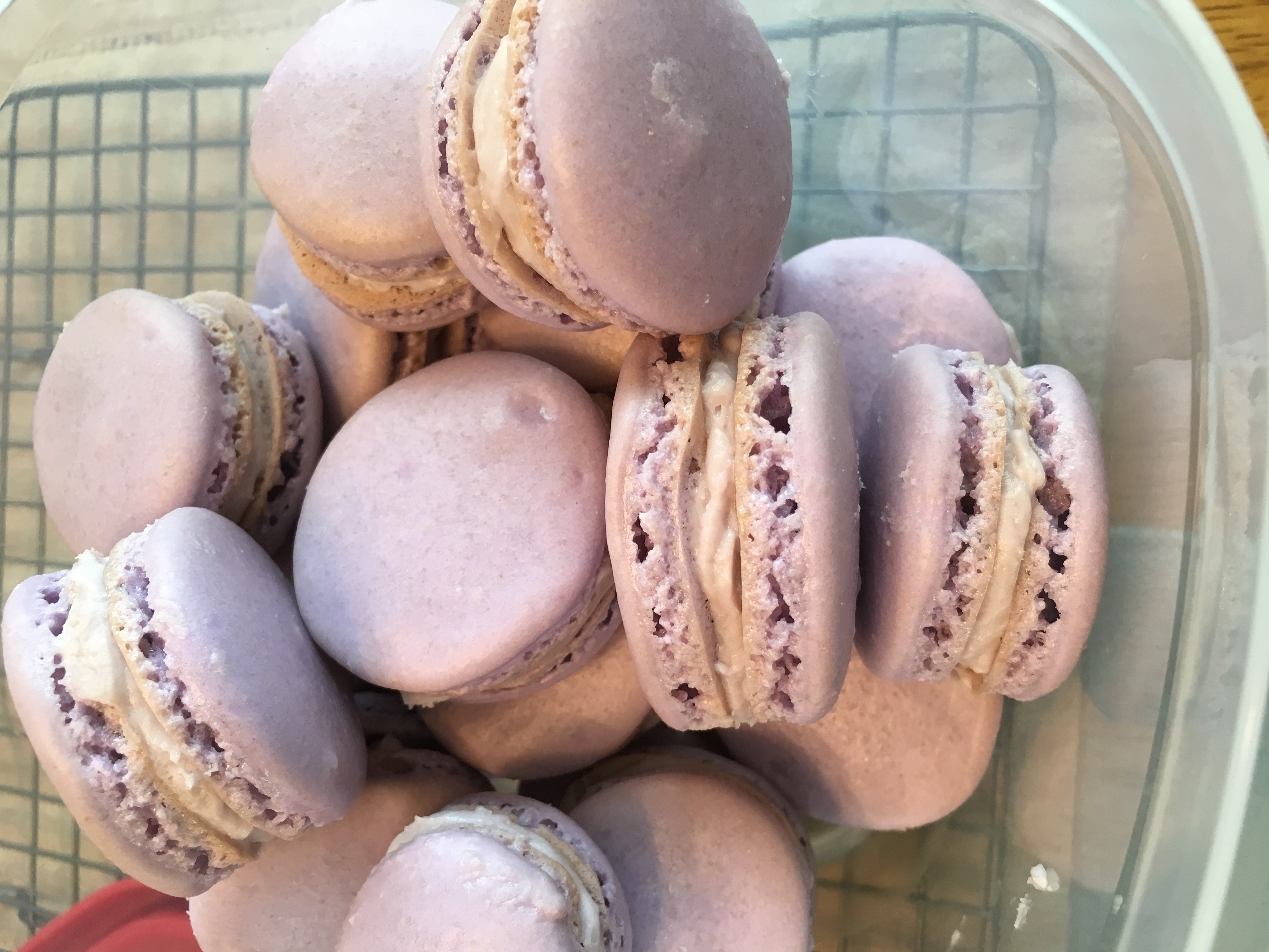 Macarons 101: A Beginner’s Guide and Printable Piping Template ...