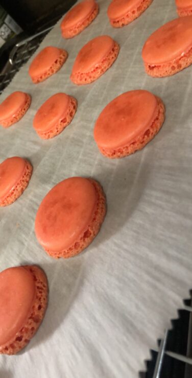 Macarons 101: A Beginner’s Guide and Printable Piping Template ...